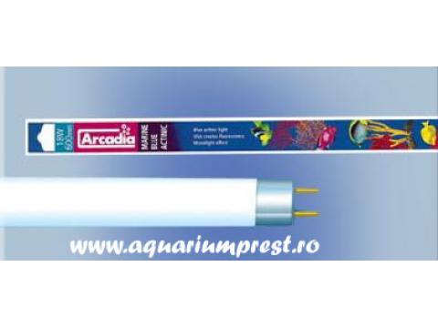 Neon Acvariu Arcadia Marine Blue 420 Actinic Lamp T8 30W