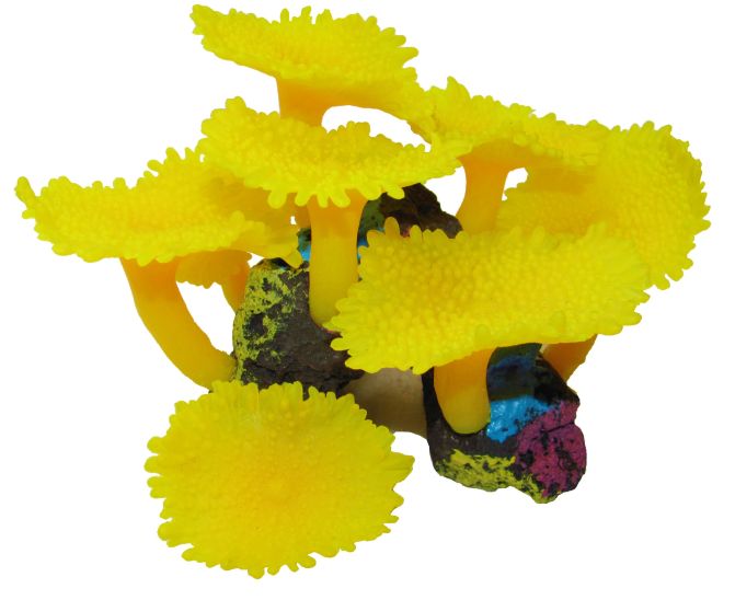 Ocean Free Decor Acvariu Reef Siliconic Y68